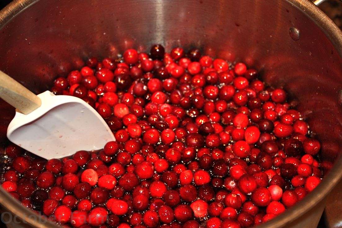 Thanksgiving Prep: Gravy, Cranberry Sauce, Pie Crusts