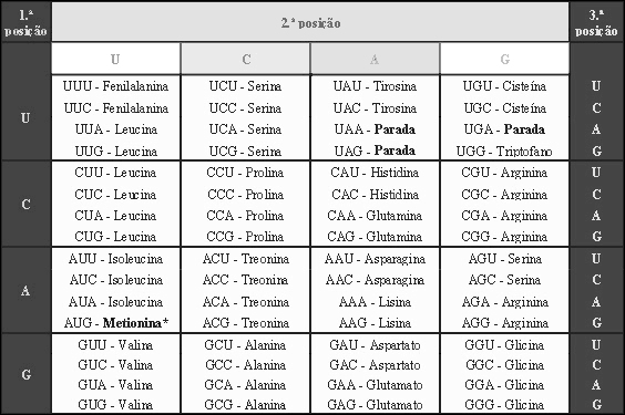 Ácidos Nucléicos: Código Genético