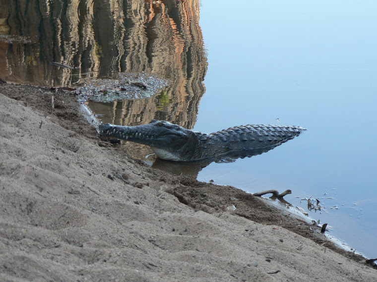 L'AUSTRALIE EN COEUR