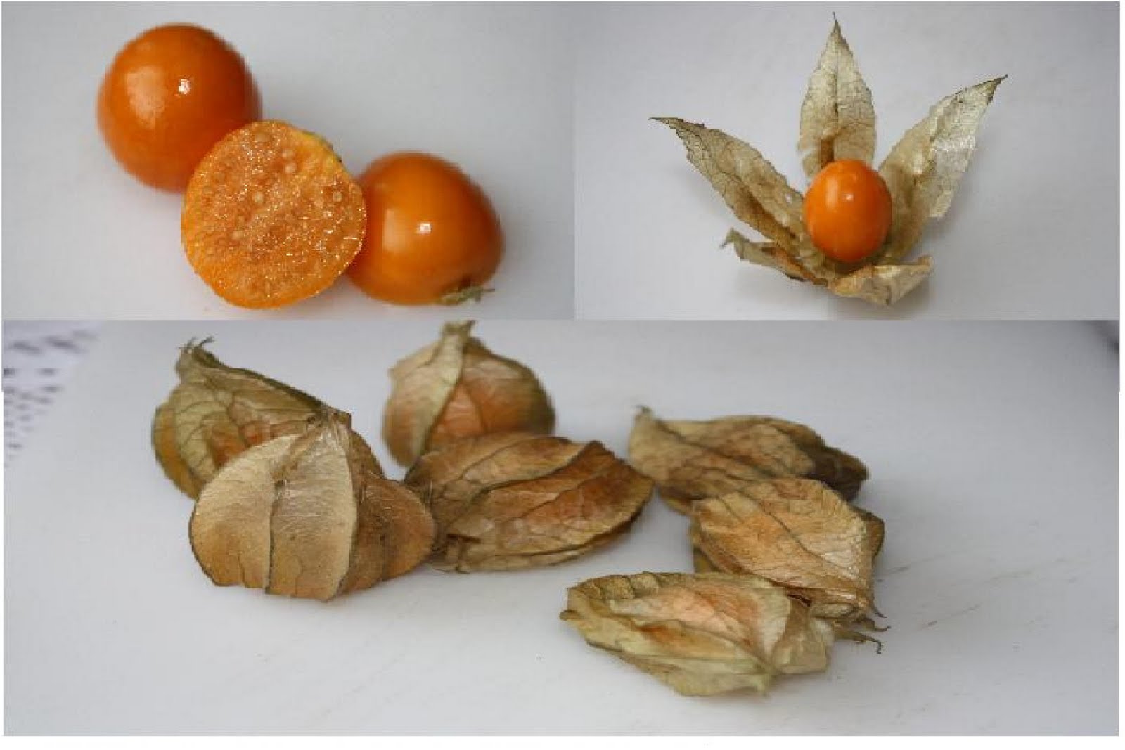 Gastronomia e produtos brasileiros