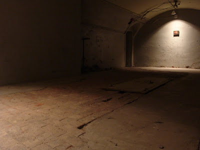 Artengine Blog: Darsha Hewitt at Arts Court Platinum Party