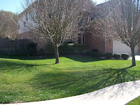 All Things Lawn: Winter Rye grass and when to plant it in San Antonio