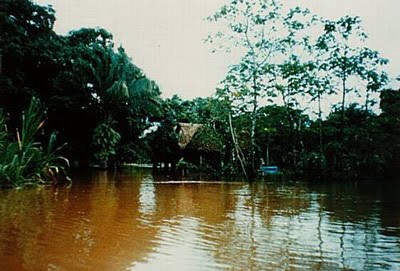 Geografia Net: CLIMAS DA TERRA.