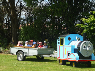 Room 5 Hawera Primary