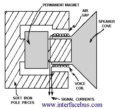 Understanding the Basics: Microphone 'Magic'