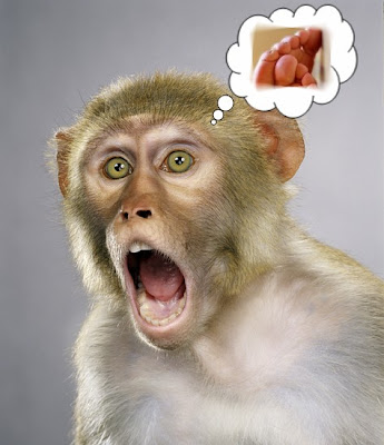 muskadillo * dreaming: Monkey Beans