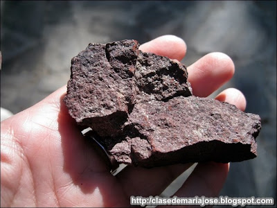 La Clase de María José: ENCUENTRO DE EDUCACIÓN AMBIENTAL 5 y 6 de junio ...