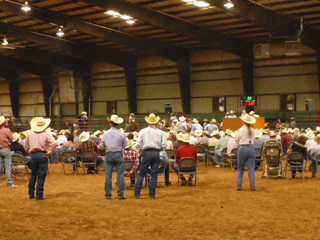 Melissa and Daniel - Travel Adventures: Texas Ranch Round Up..Yee Haw!