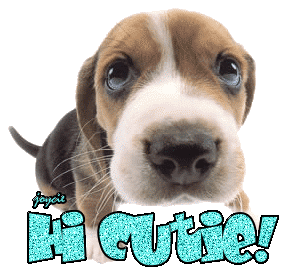 Perrito gif - Imagui
