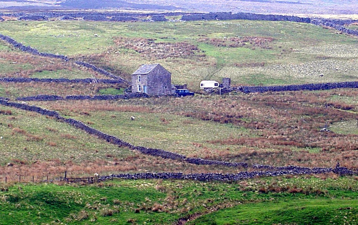 Heather in Cowshill: June 2010