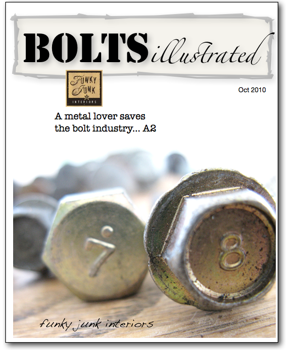 Taking amazing closeups with a point and shoot... of BOLTS. :) - Funky ...