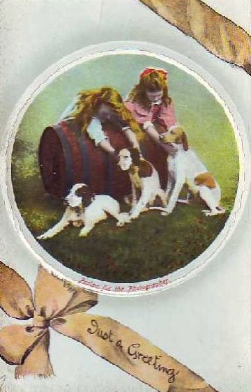 Fetters Setters ~ Send Vintage English Setter Postcards to Family ...
