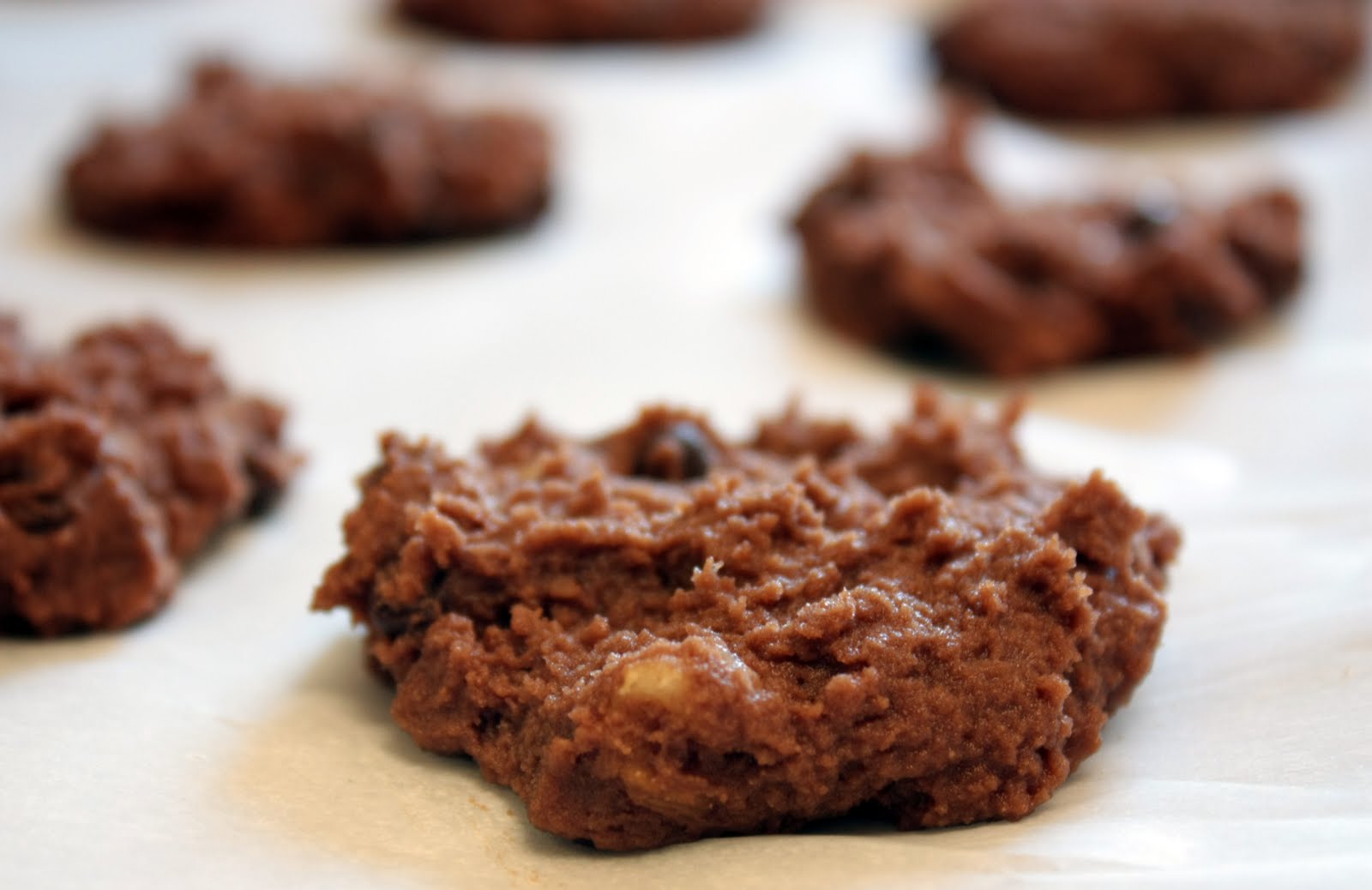 Double Dark Chocolate Chip Cookies with Chopped Walnuts | Primal Palate ...