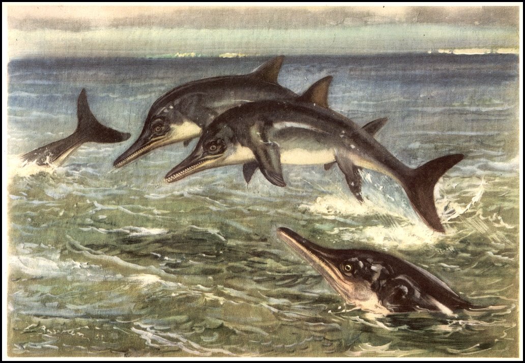 ART Evolved: Life's Time Capsule: Ichthyosaurs in Art