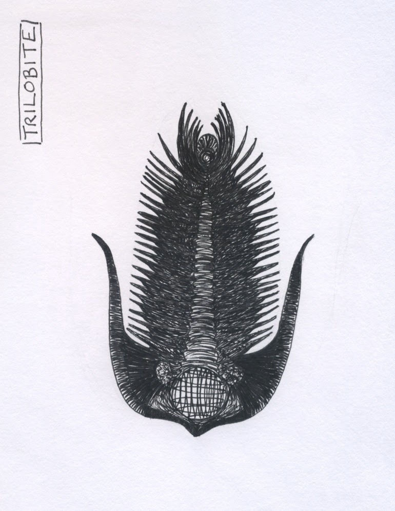 ART Evolved: Life's Time Capsule: The Trilobite Gallery