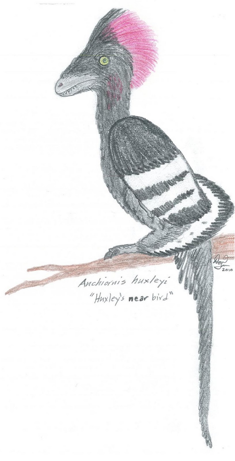 ART Evolved: Life's Time Capsule: Pink Dinosaur #149