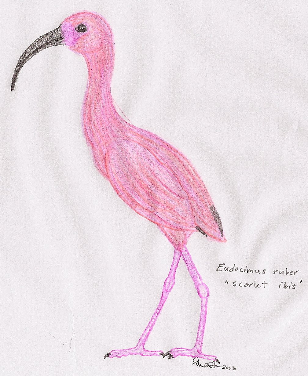 ART Evolved: Life's Time Capsule: November 2010