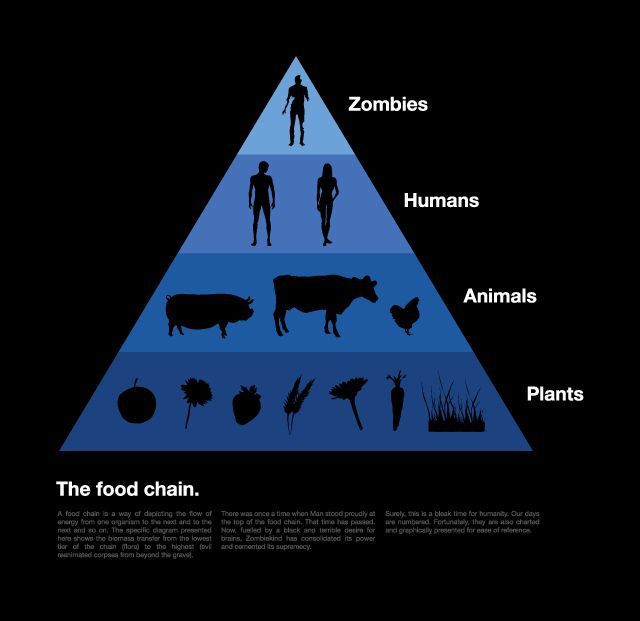 Animal Food Web Examples animal-food-web-examples
