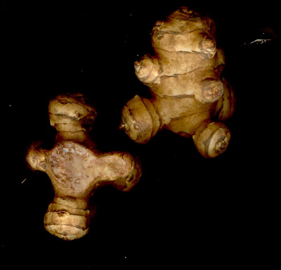 אין מױל ארײן: The Most Anarchic of Vegetables: Jerusalem Artichokes