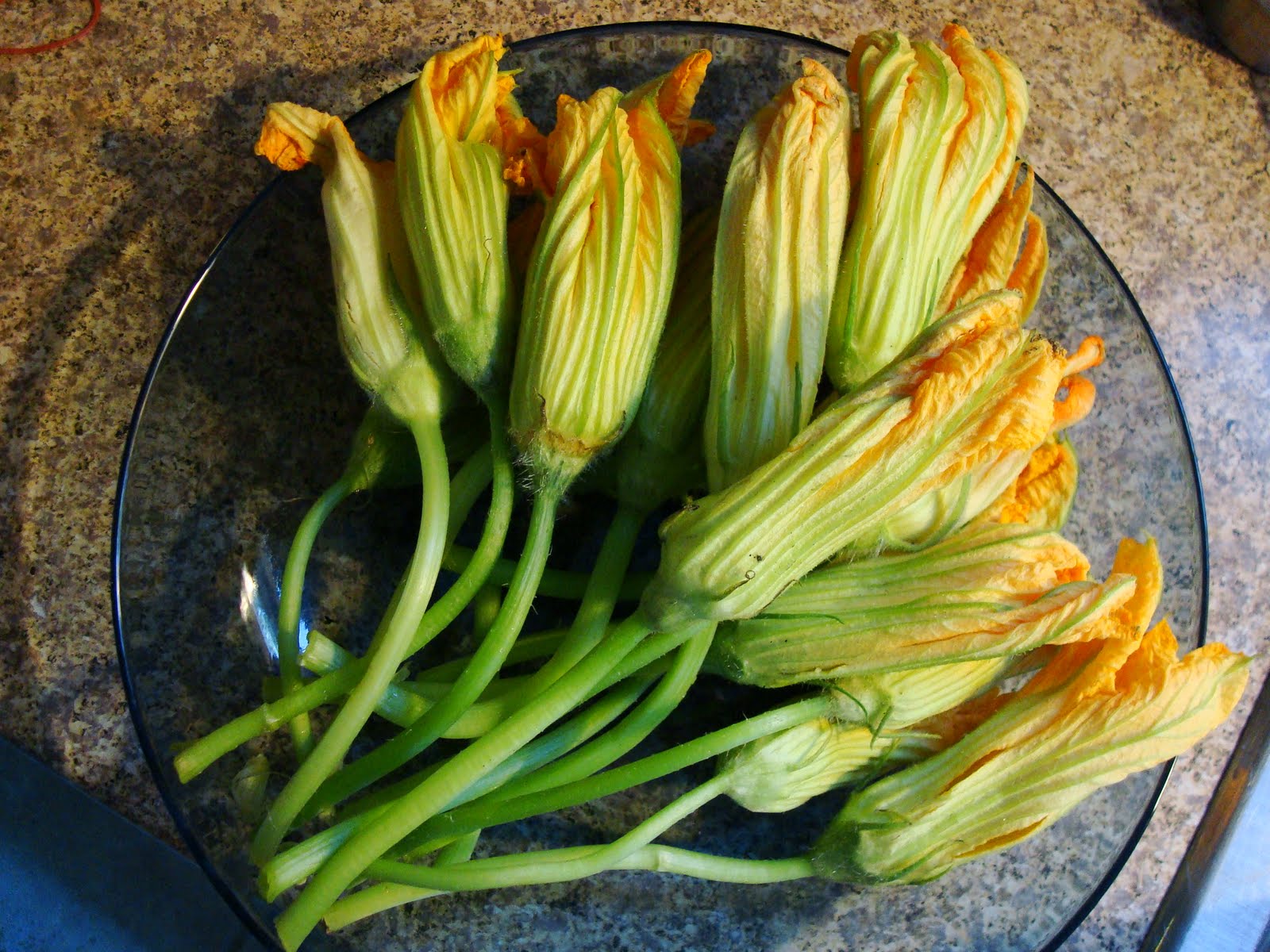 Bramblewood Ramblings: Frozen Blossoms