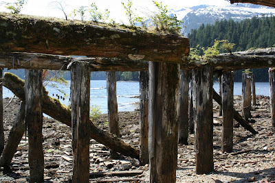 Cruising the Westcoast - Vancouver to Alaska: June 12th – Afternoon ...