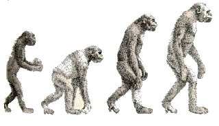 bacantes modernazas: Neodarwinismo