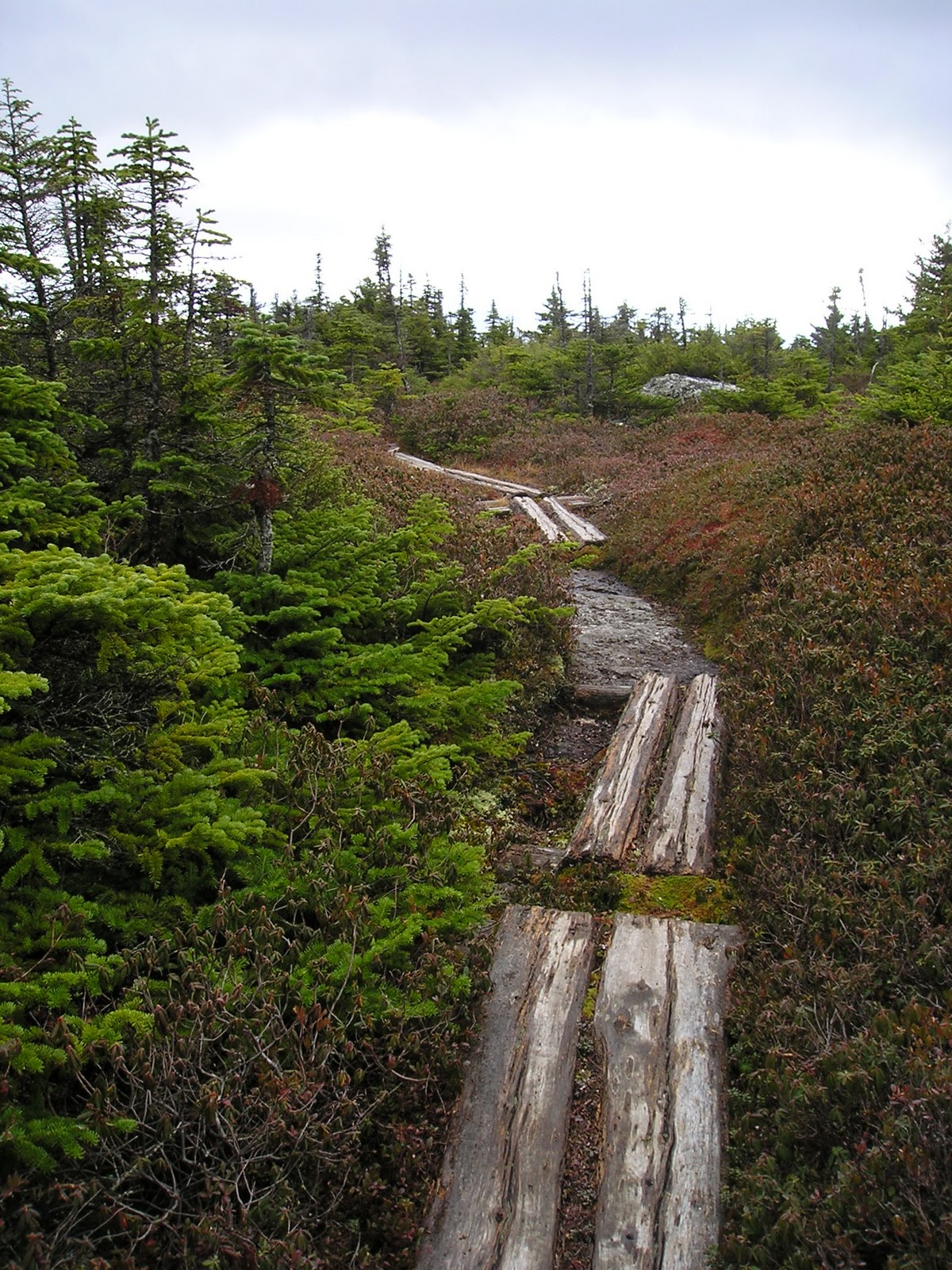 The Wild Side: Mahoosuc Notch Loop
