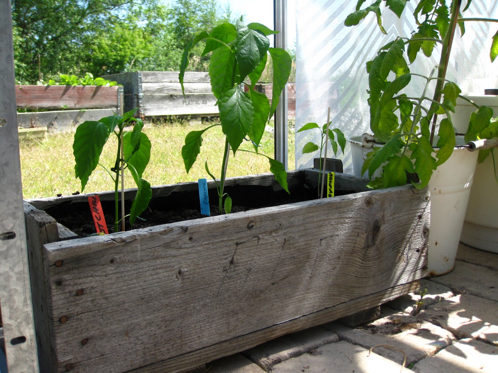 Mycket annat & lite betong: Planteringsdags