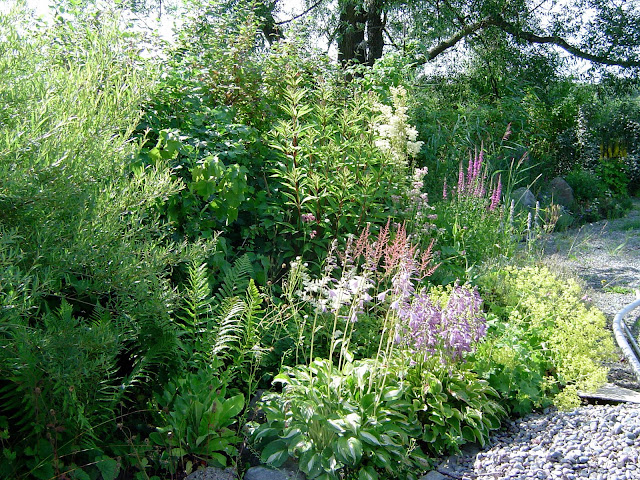 Mycket annat & lite betong: Plantering