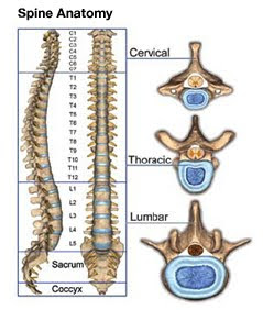 Penatalaksanaan Trauma Spinal dan Cedera Cervikal ~ Angkatan 13 KHJ
