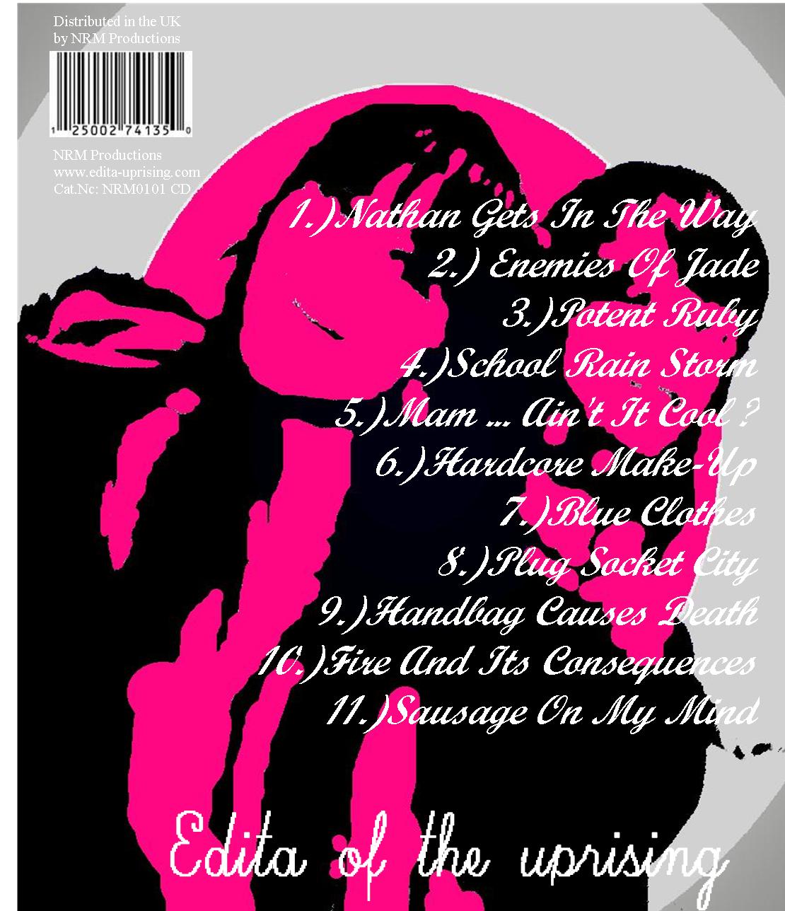 A2 Media Studies: CD cover- Back page
