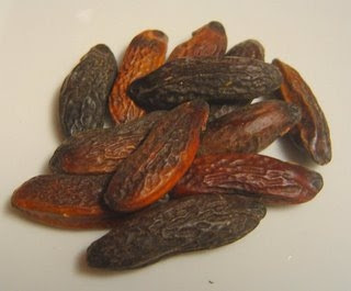 la sarrapia: La sarrapia descripcion