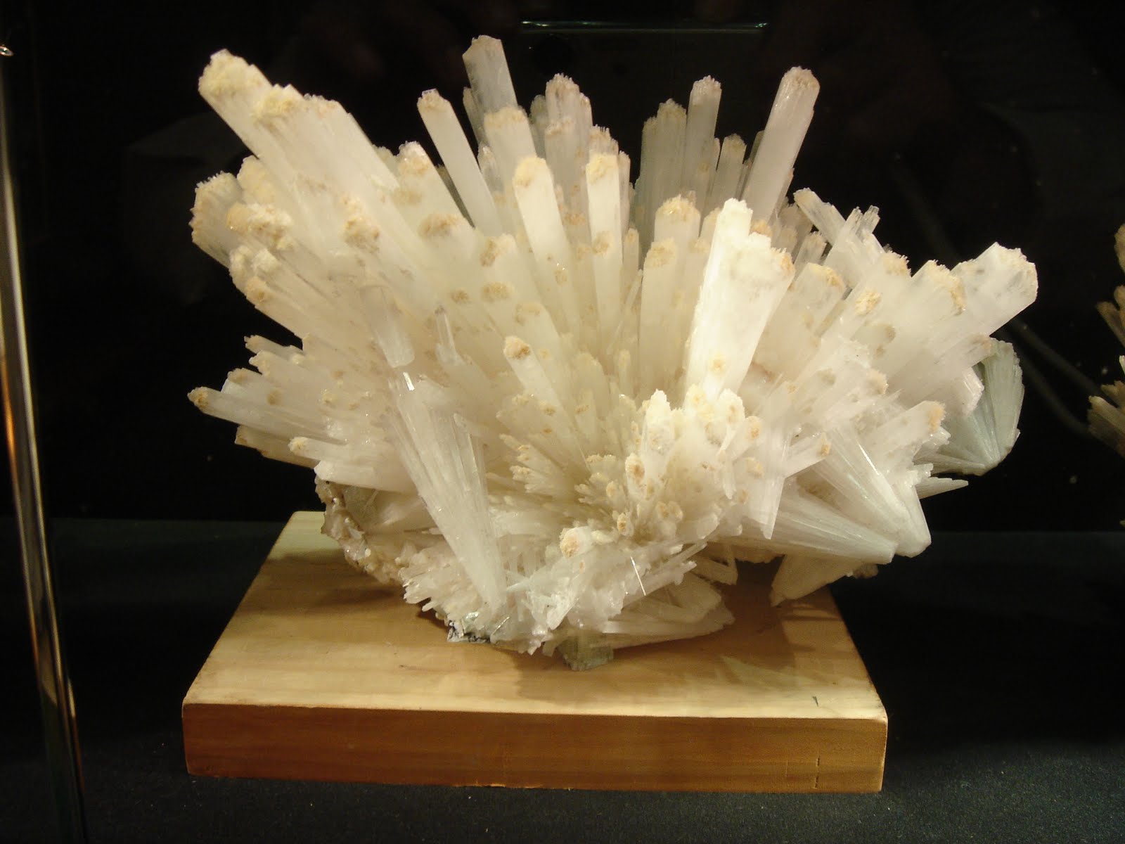 true treasure: GARGOTI