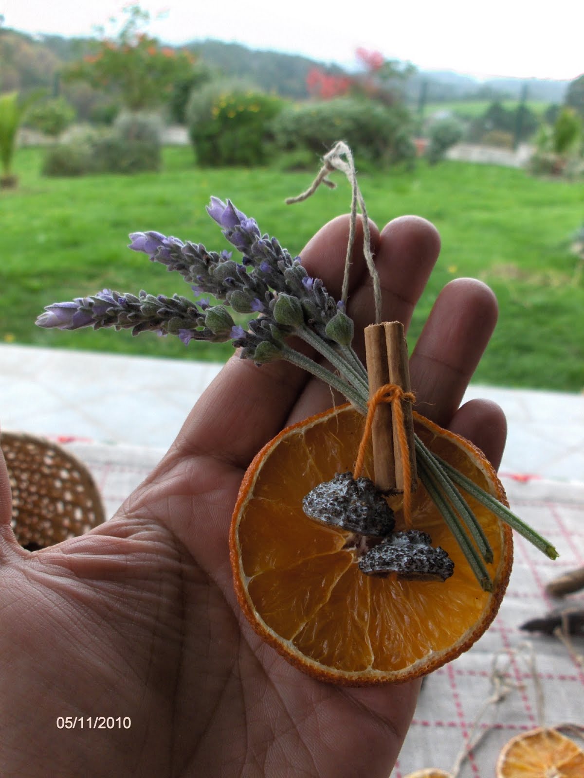 Aprendiz: decorando rodajas de naranja deshidratadas