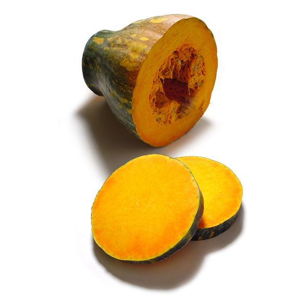 Weddings Rincon Puerto Rico