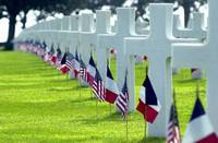 Animation - Who & Where: Memorial Day Tribute - Willard Bowsky