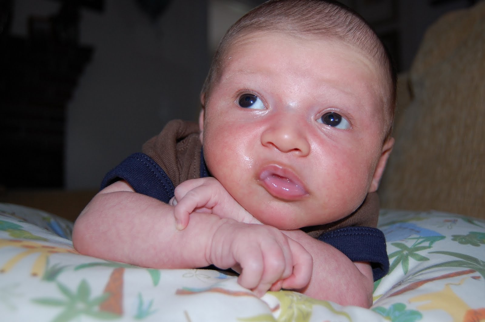 The Adventures of Baby Newman: Tummy Time!