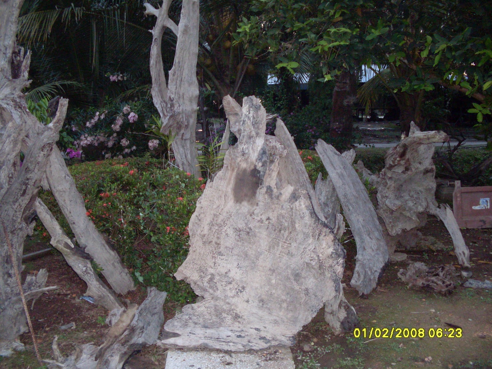 Warisan Kandai Enterprise: arca kayu untuk hiasan laman/ arca bonsai