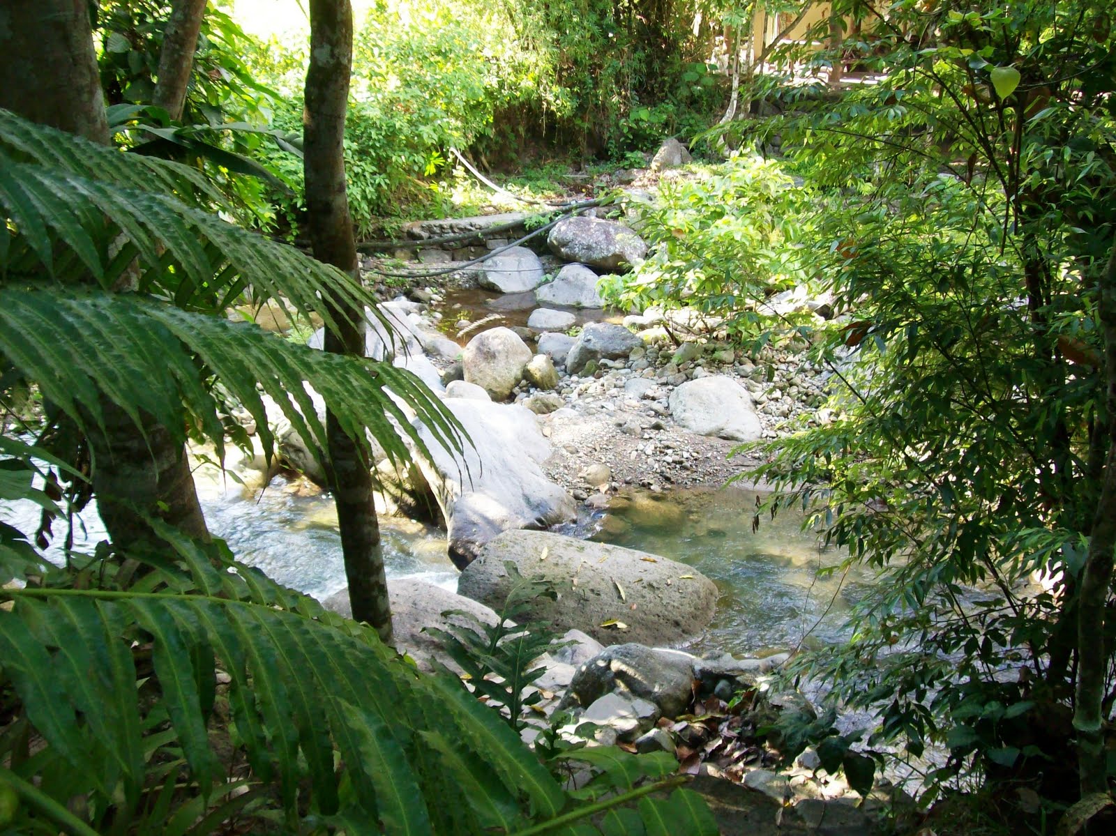 Intimate Walks: Forest Camp Resort