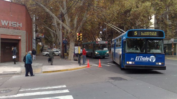 Emilio Bertolini: Proyecto Sistema de Transporte Público Municipal