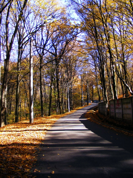 Plaiuri romanesti: Parcul Trivale din Pitesti