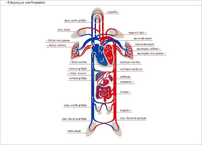 Εγκύκλιος Παιδεία: ΜΙΚΡΗ ΚΑΙ ΜΕΓΑΛΗ ΚΥΚΛΟΦΟΡΙΑ(1)