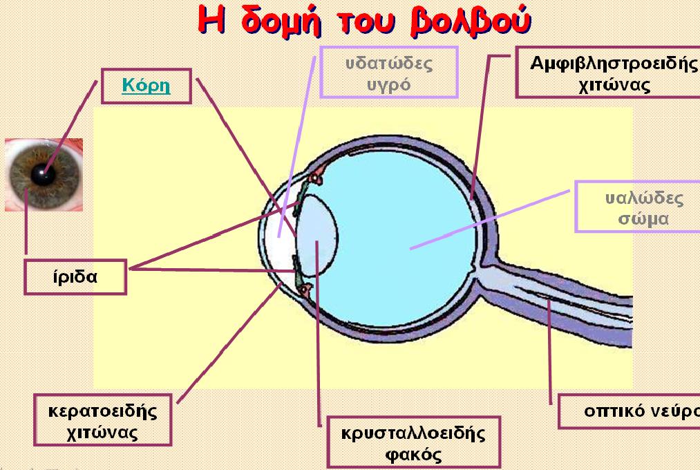 Εγκύκλιος Παιδεία: ΤΟ ΜΑΤΙ ΜΑΣ(2)