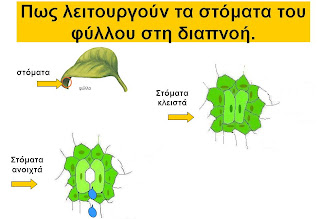 Εγκύκλιος Παιδεία: Η ΔΙΑΠΝΟΗ