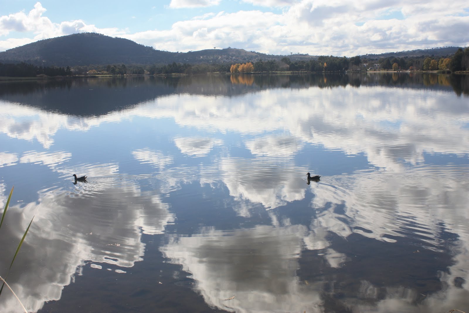 Lake Tuggeranong Canberra Australia