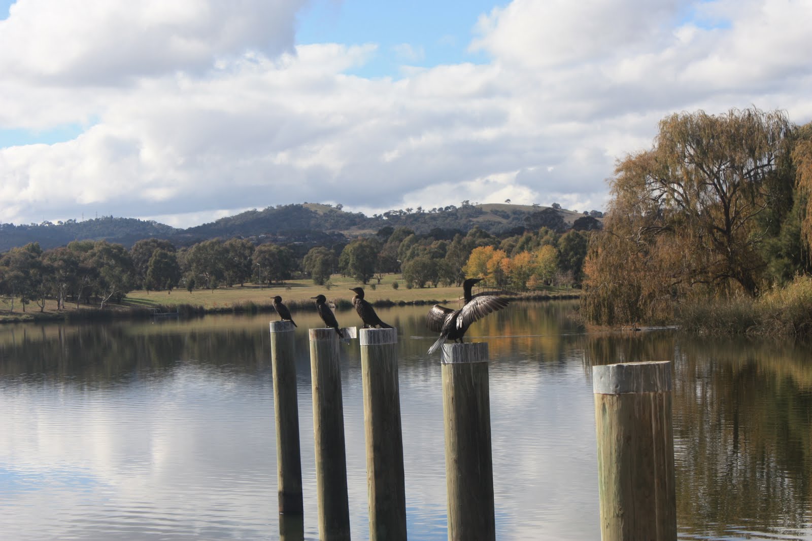 Lake Tuggeranong Canberra Australia