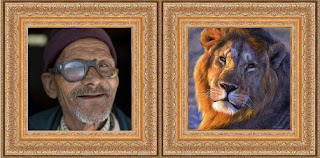 BILHETE DE IDA: O Tigre e o Zarolho (Conto Chinês em qualquer país)