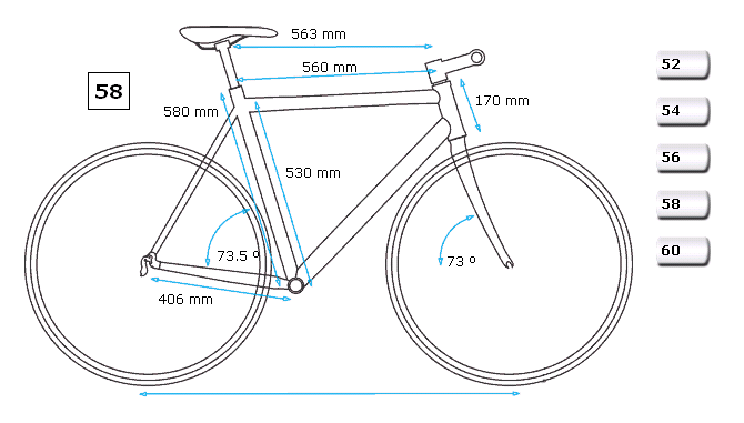 Familien: Jeg skal have ny racer cykel - har du anbefalinger, gode råd ...