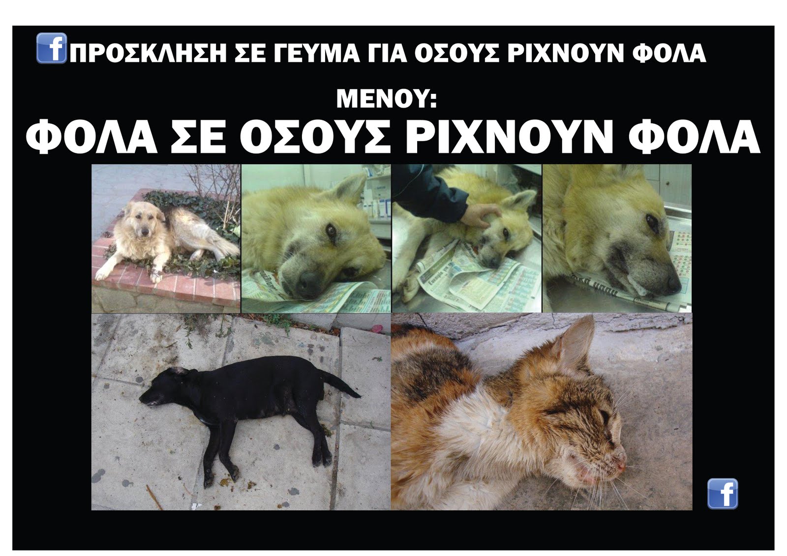 KATOIKIDIOLOVER: ΠΑΝΕΛΛΗΝΙΑ ΔΙΑΜΑΡΤΥΡΙΑ ΕΝΑΝΤΙΑ ΣΤΙΣ ΦΟΛΕΣ ΚΑΙ ΤΗΝ ...