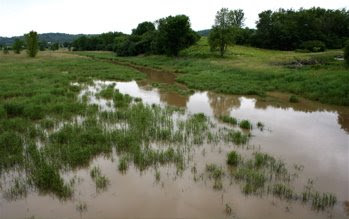 A Freshwater Journey from Maine to Montana: Day 5 - Lake Champlain ...